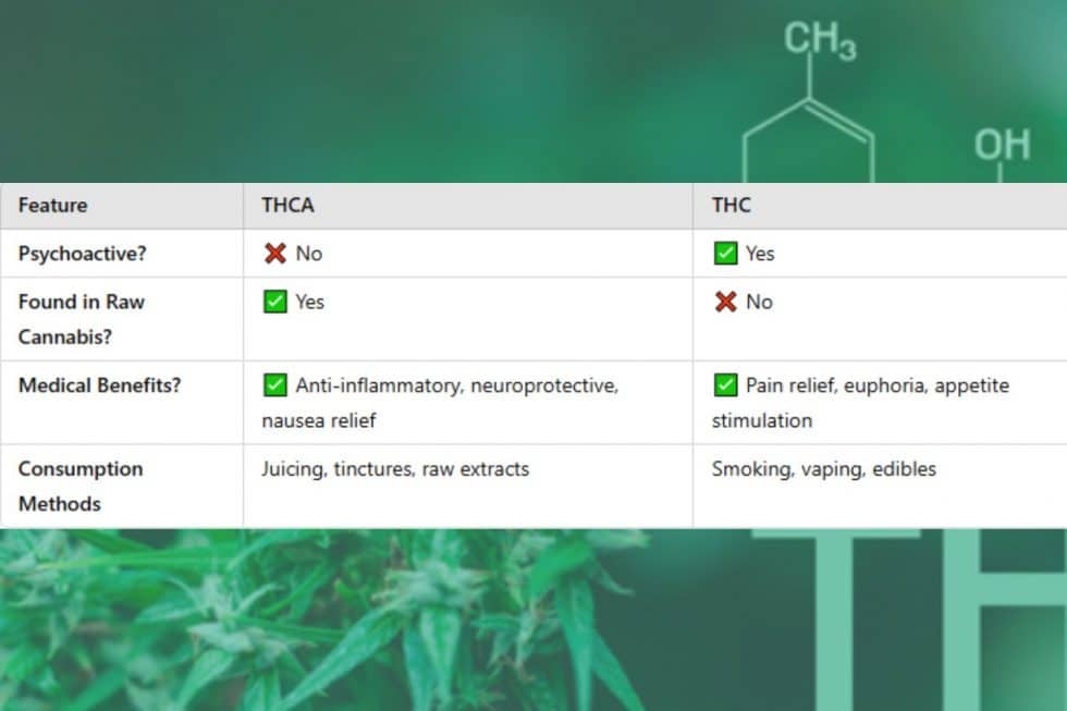 7 Powerful Benefits of THCA: Why This Cannabinoid is Gaining Attention